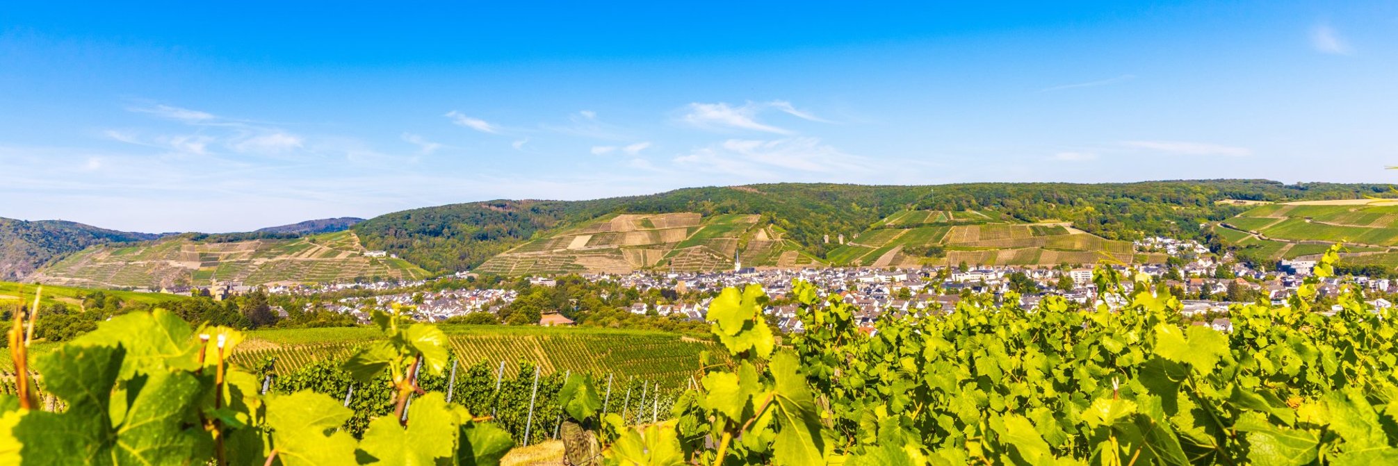 Werde Teil des Teams | Stadt Bad Neuenahr-Ahrweiler